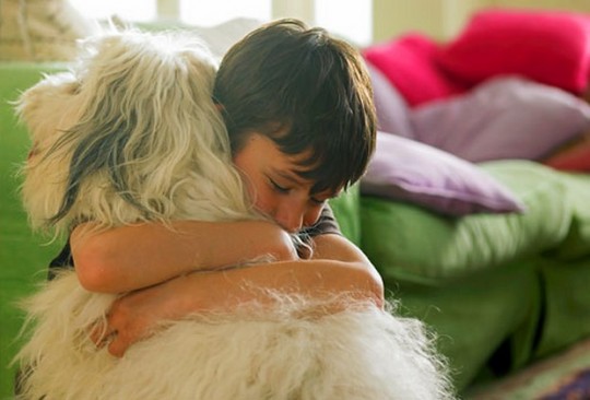 A Cute Gallery of Hugging Dogs