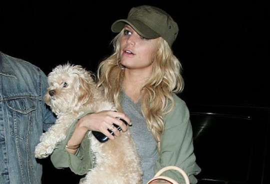 10 Famous Dogs That Belong to Celebrities