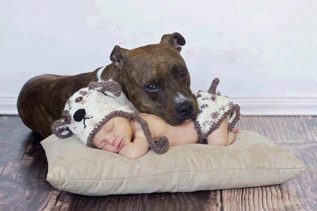 20 Pictures Showing How Awesome Puppies and Babies are Together