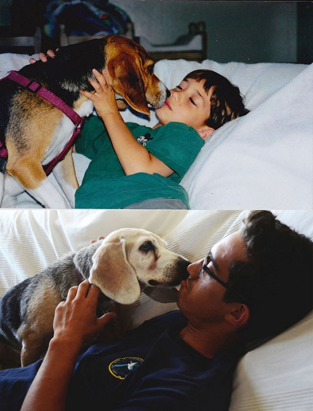 15 Photos Proving Just How Much Dogs Love Us