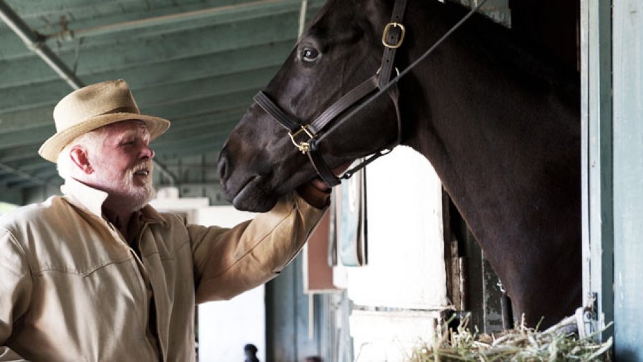 20 Movies That Were Inhumane To Animals