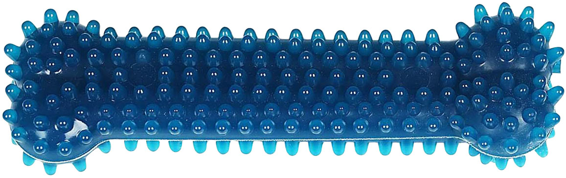 20 Dog Toys You Should Always Avoid