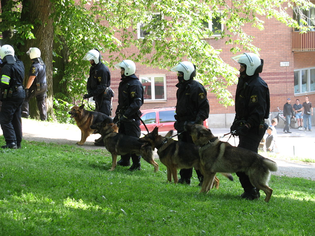 20 Things You Didn't Know About Police Dogs
