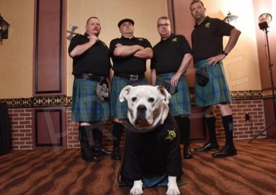 This Dog is the Coolest Sheriff in America