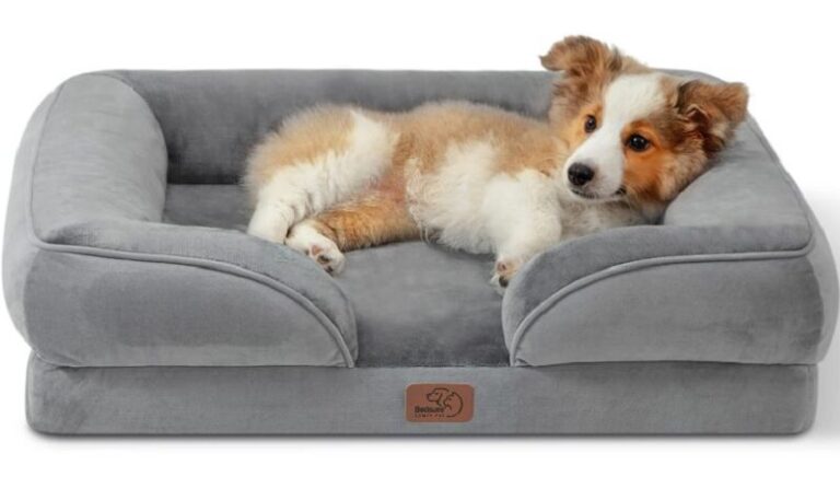 The 10 Best Dog Beds for Comfortable and Restful Sleep