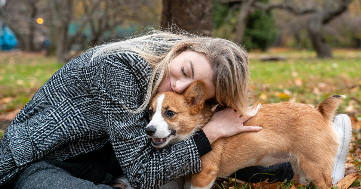 15 Easy Ways To Keep Your Dog Happy Every Day