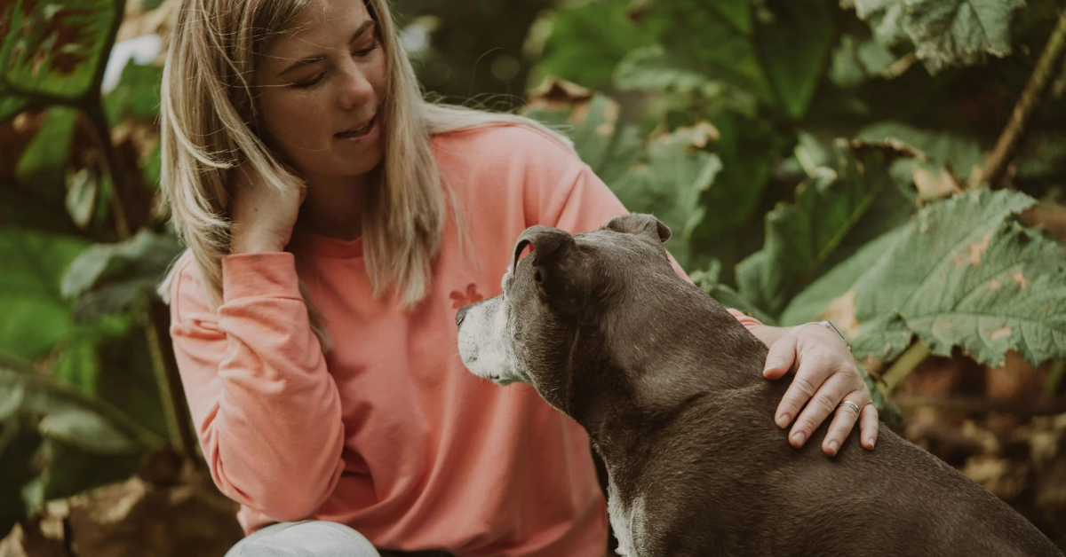 How To Help A Rescue Dog Feel Safe And Loved