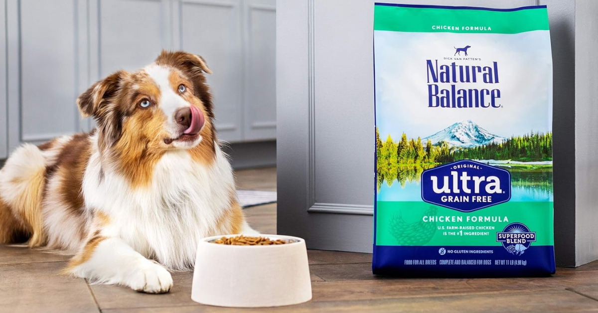 15 Brands With No-So-Great Dog Food Products