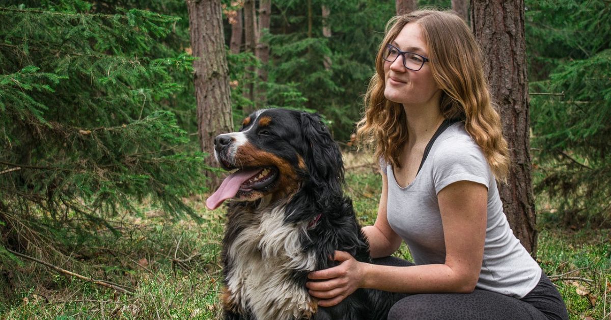 15 Fluffy Dog Breeds That Are Big On Personality And Charm