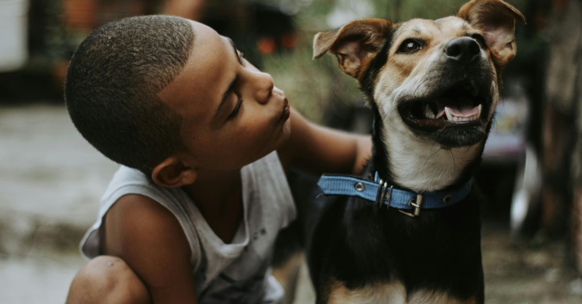 15 Dog Breeds Known For Their Unmistakable Loyalty