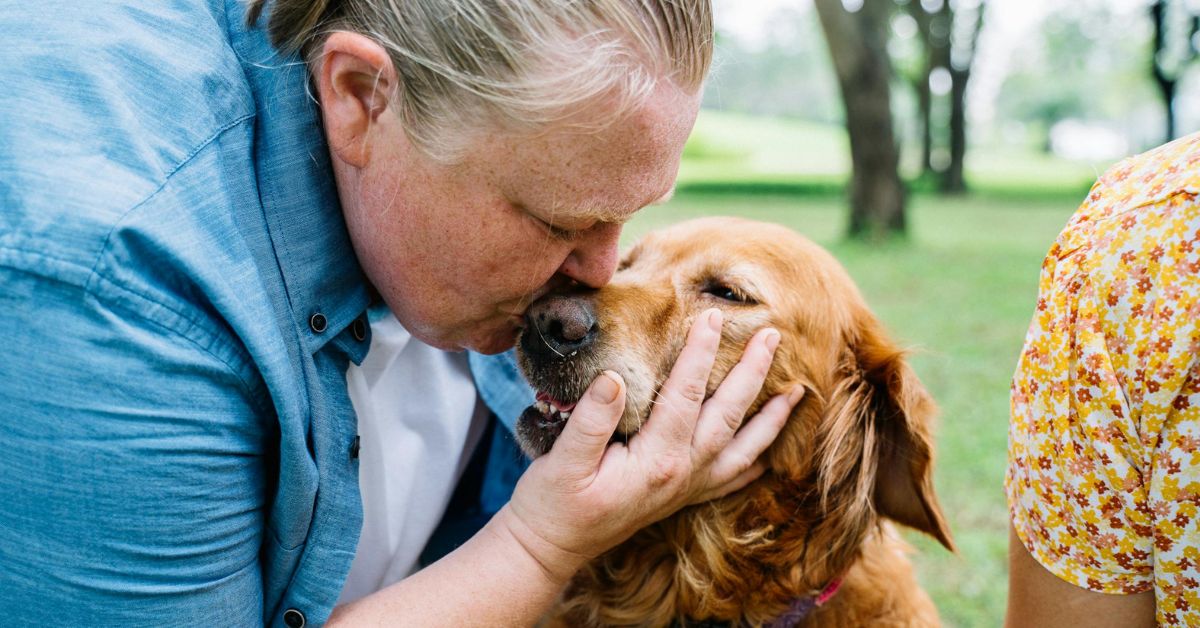 15 Calm Dogs That Can Be Your Best Friend In Your Golden Years