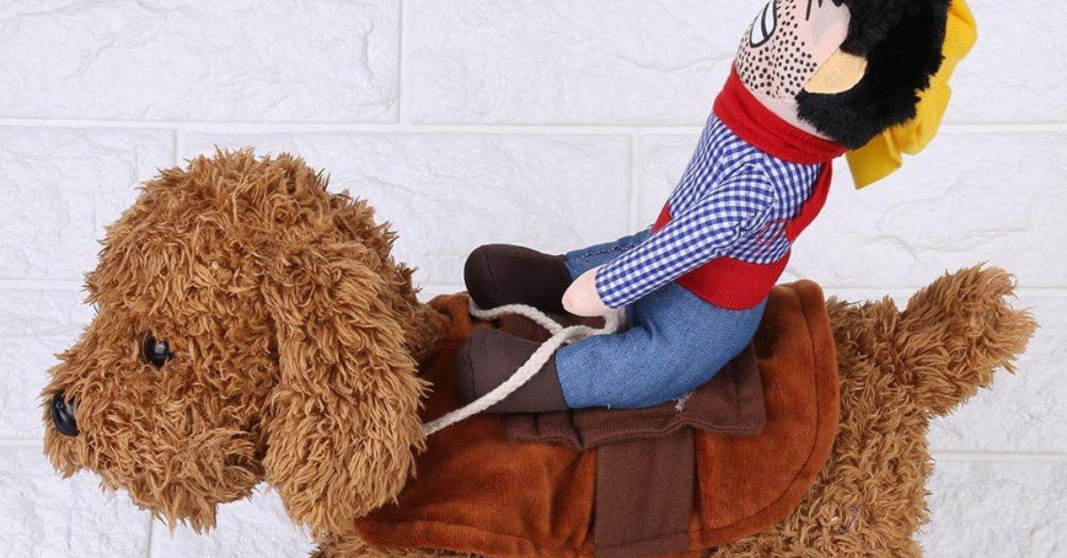 15 Creative And Adorable Dog Costumes That Will Make Your Day