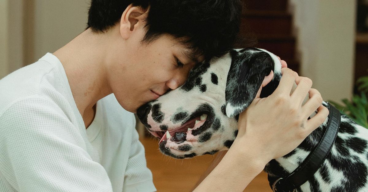 15 Cancer Signs Every Dog Owner Should Know