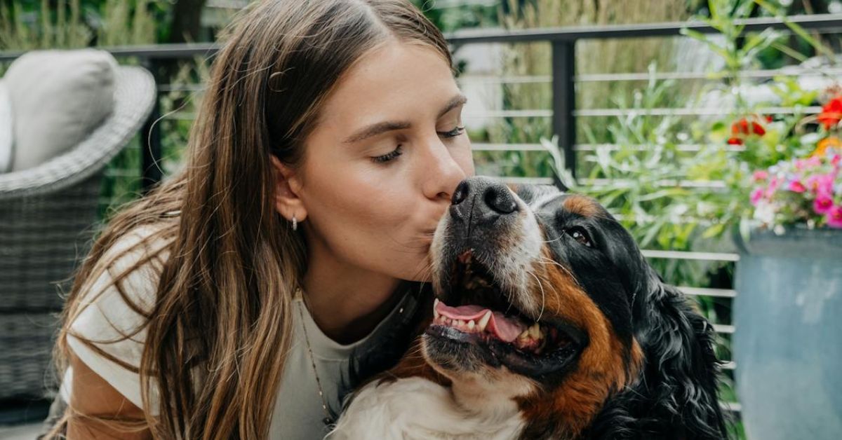 15 Heartfelt Ways Dogs Express Their Love For You