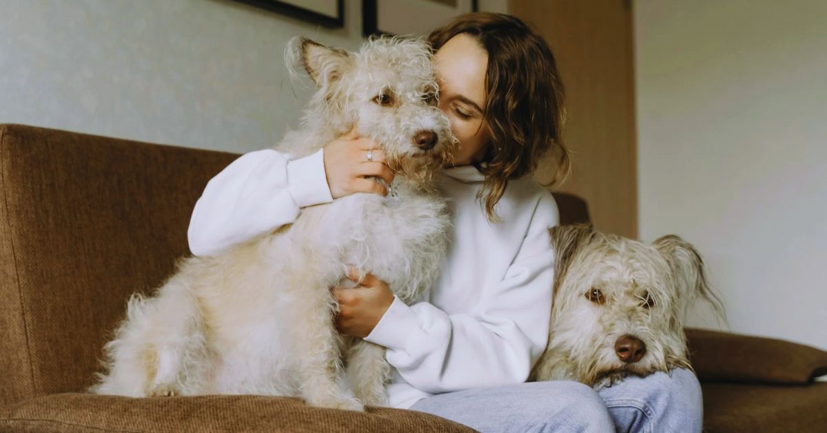These 15 Everyday Habits Are Your Dog’s Favorite Moments