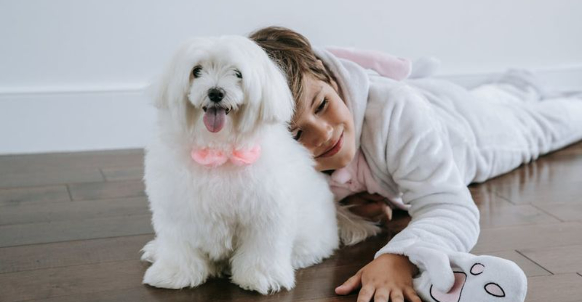 20 Sweet-Natured Dog Breeds That Find a Way to Everyone's Heart