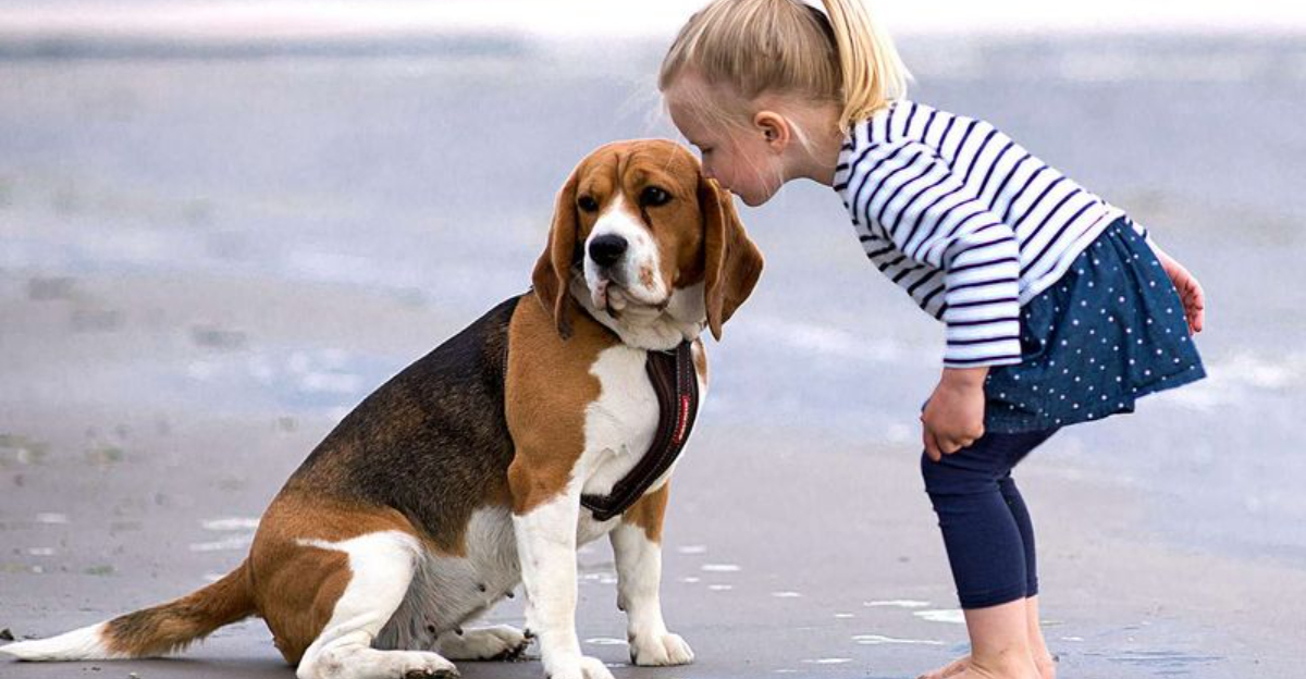 10 Dogs That Love Everyone (and 10 That Only Have Eyes for You)