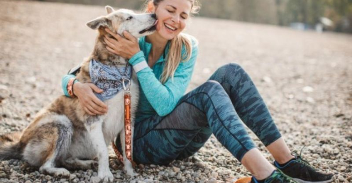 11 Proven Dog Trainer Hacks to Soothe Anxiety Without a Vet Visit