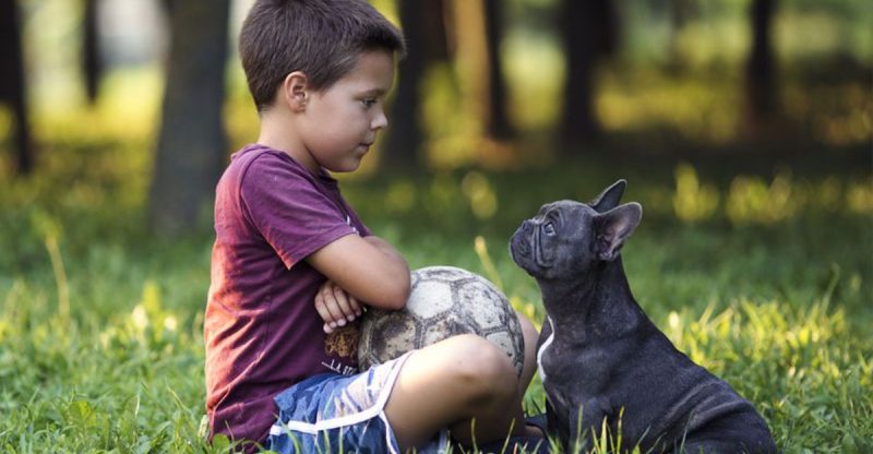 9 Brave Dog Breeds That Are All About Loyalty and Love