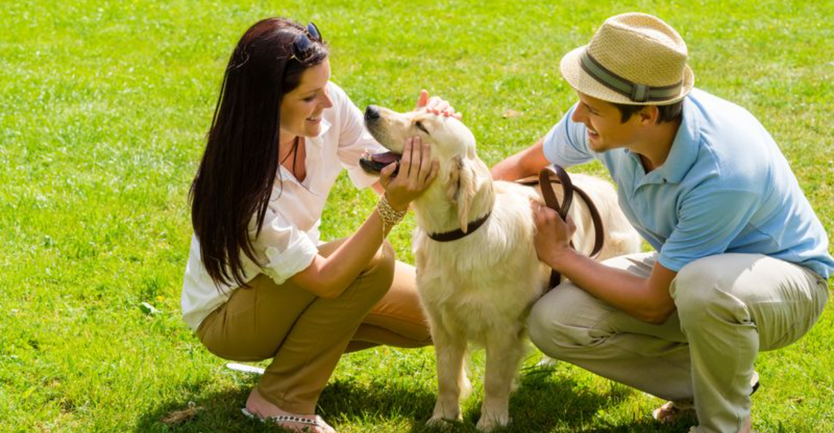 17 Heartwarming Reasons Dogs Are the Best Friends You'll Ever Have