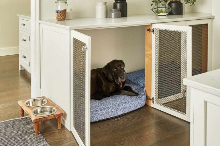 10 Key Tips for Bringing a Rescue Dog Into Your Home