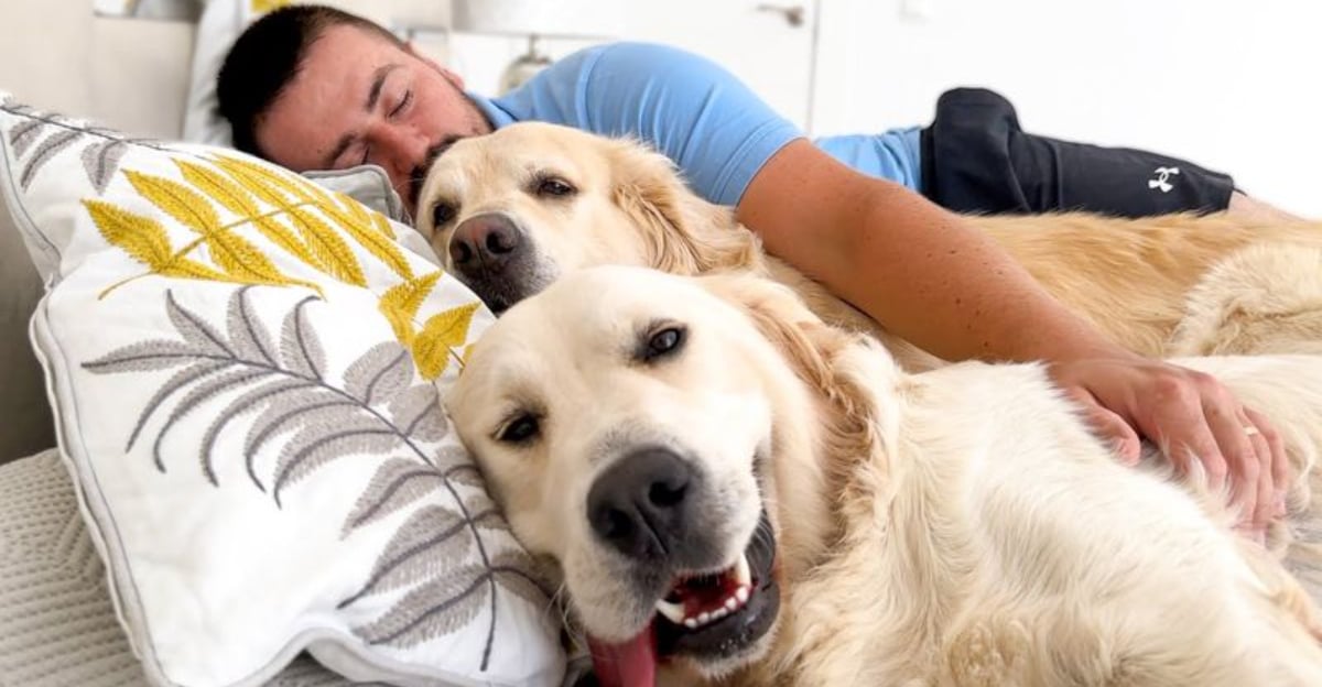These 18 Dogs Sleep Better When They’re Curled Up Right Next to You